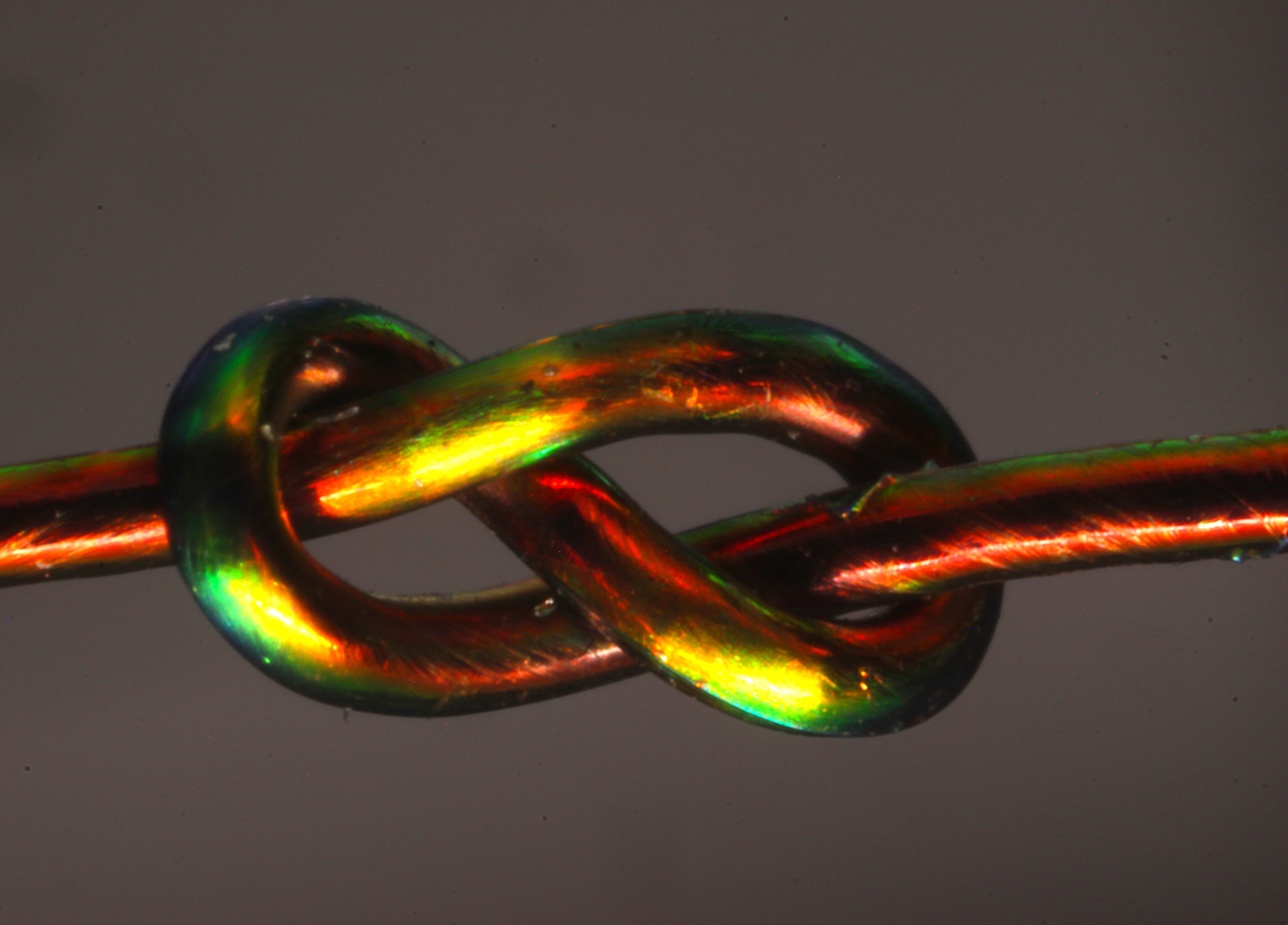 A Knotty Problem Solved | NCPR News