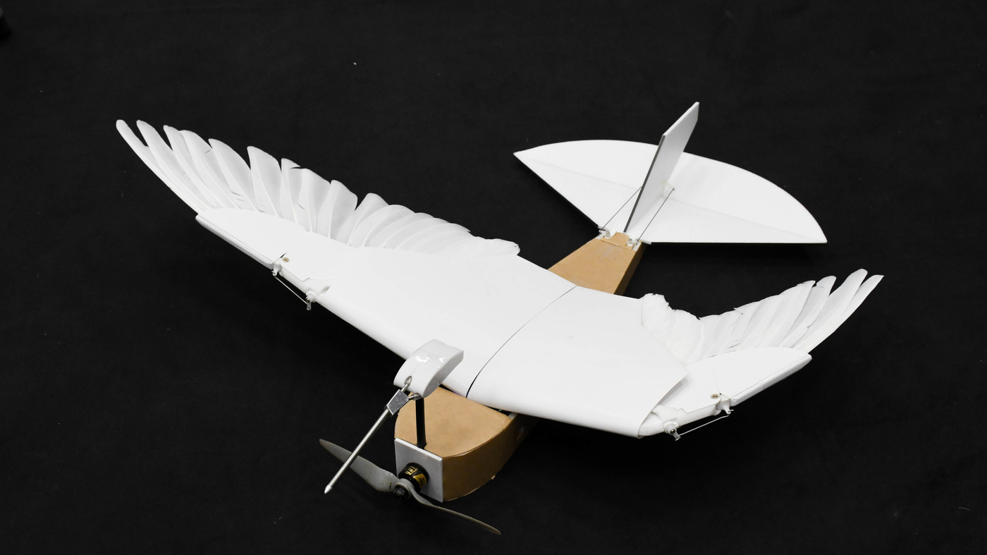 'PigeonBot' Brings Robots Closer To Birdlike Flight : NPR