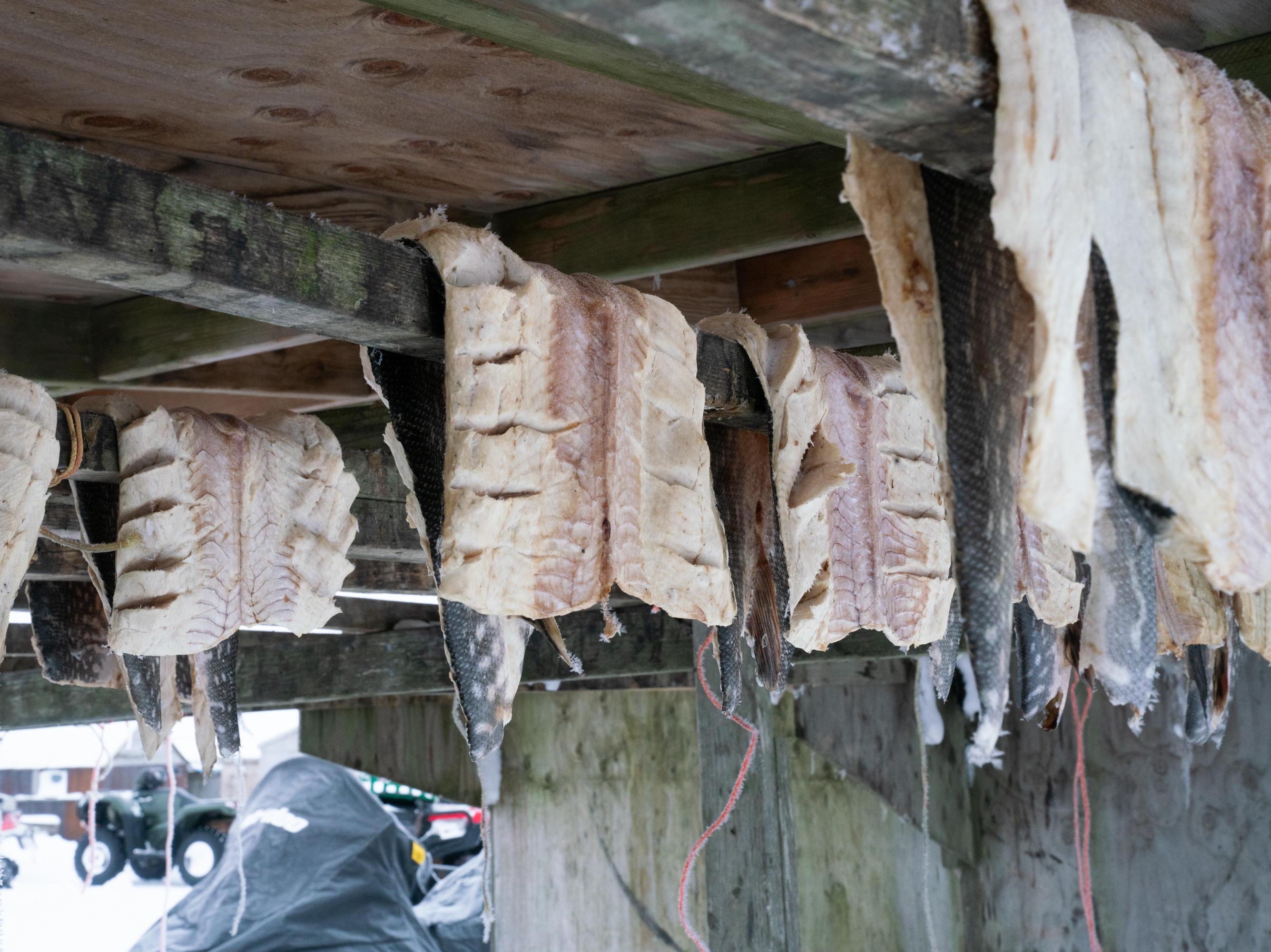 Along The Rim of Alaska, The Once-A-Decade U.S. Census Began In Toksook ...