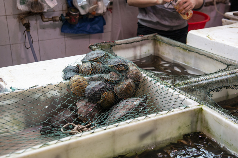 'Wet Market' In China Is Linked To Coronavirus Outbreak. What Are These ...