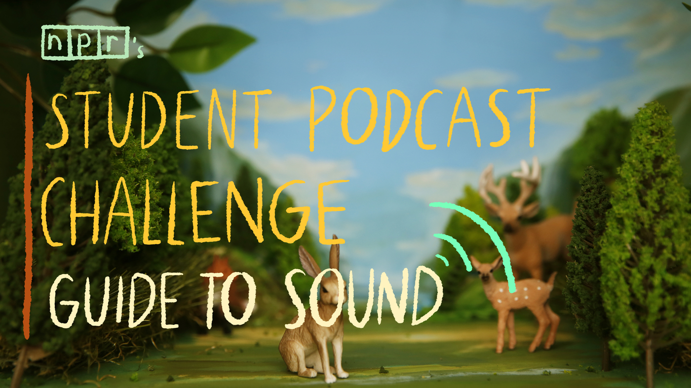 Teachers And Students: How To Make Your Podcast Sound Great : NPR