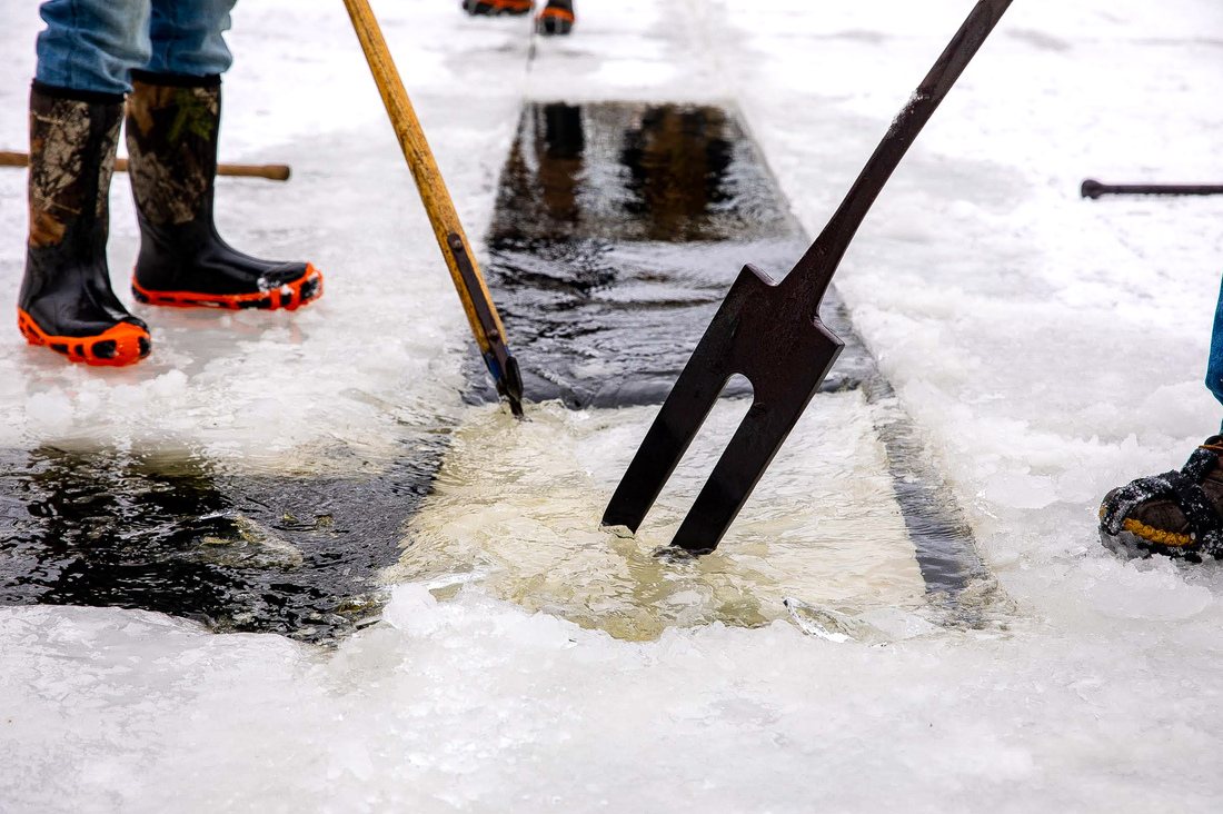 Maine Ice Harvesting : NPR