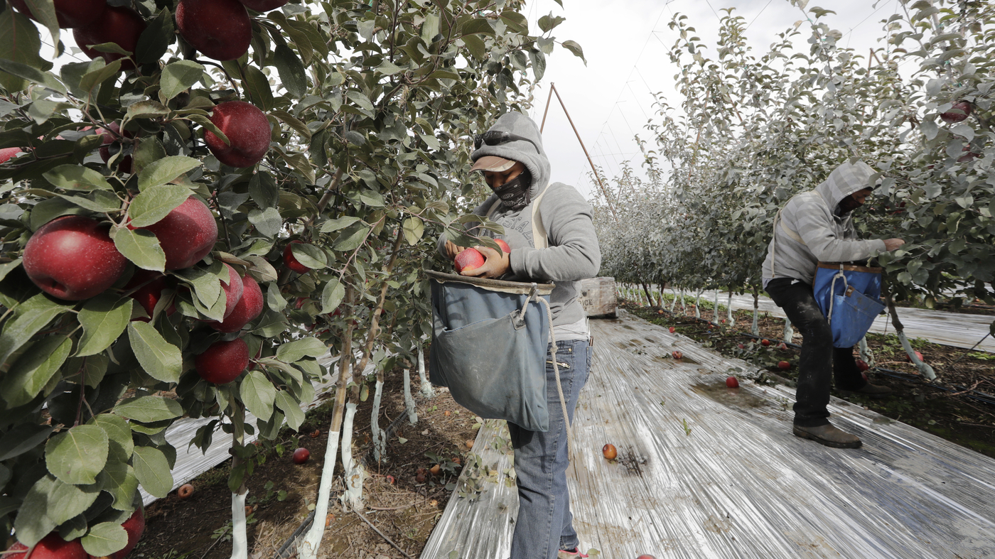 COVID-19 Threatens Food Supply Chain As Farms Worry About Workers ...