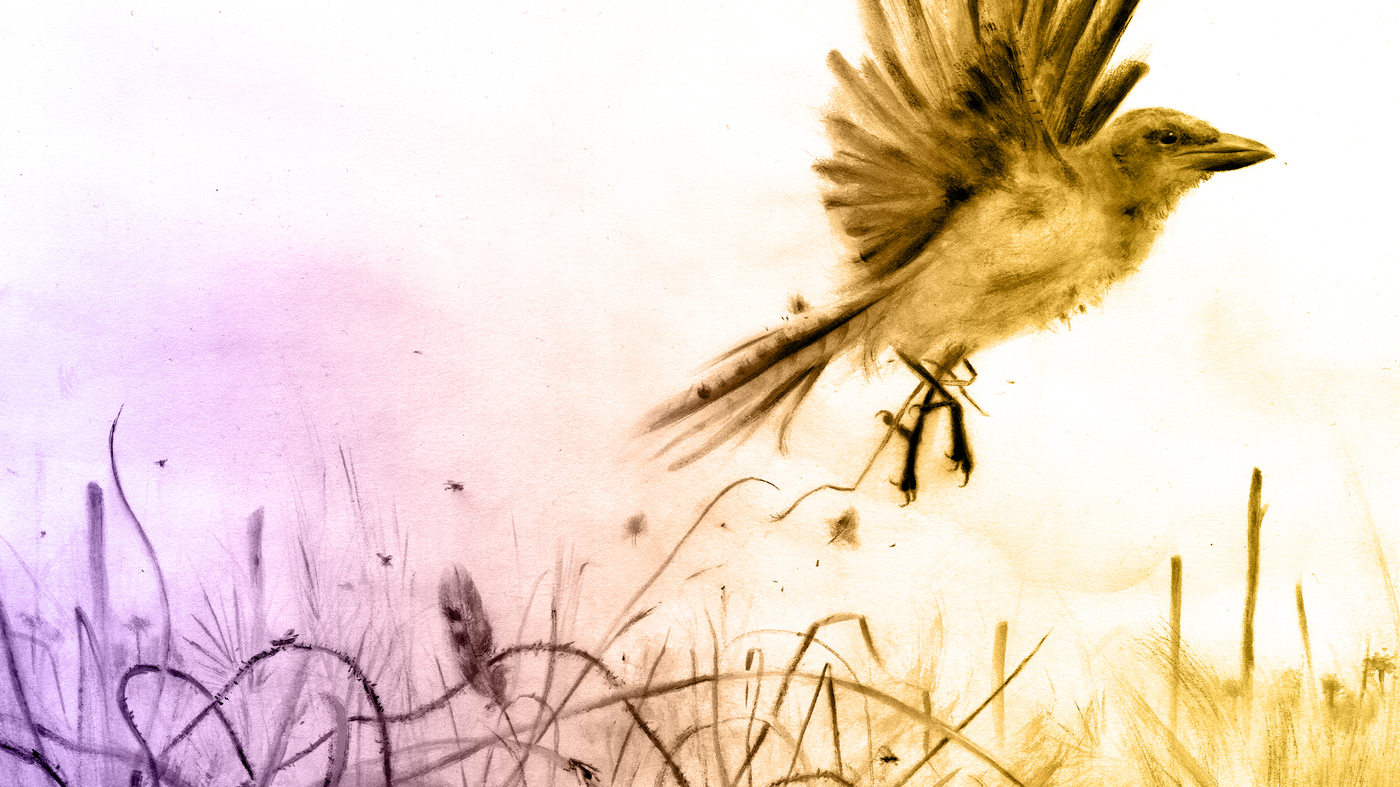 The Code Switch Podcast Playlist : Code Switch : NPR