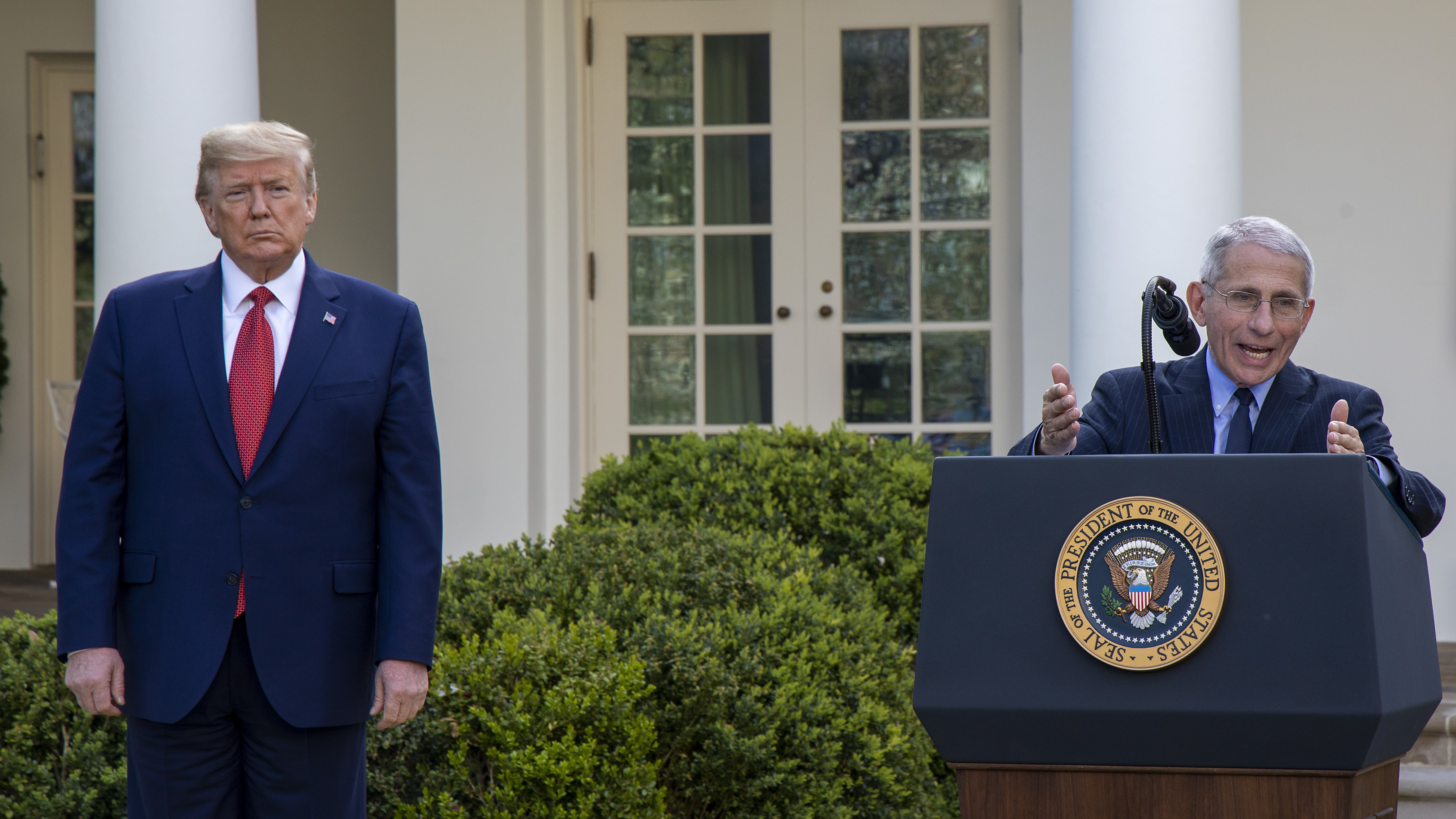 Extended Social Distancing, Plus How To Grocery Shop Safely : Consider ...