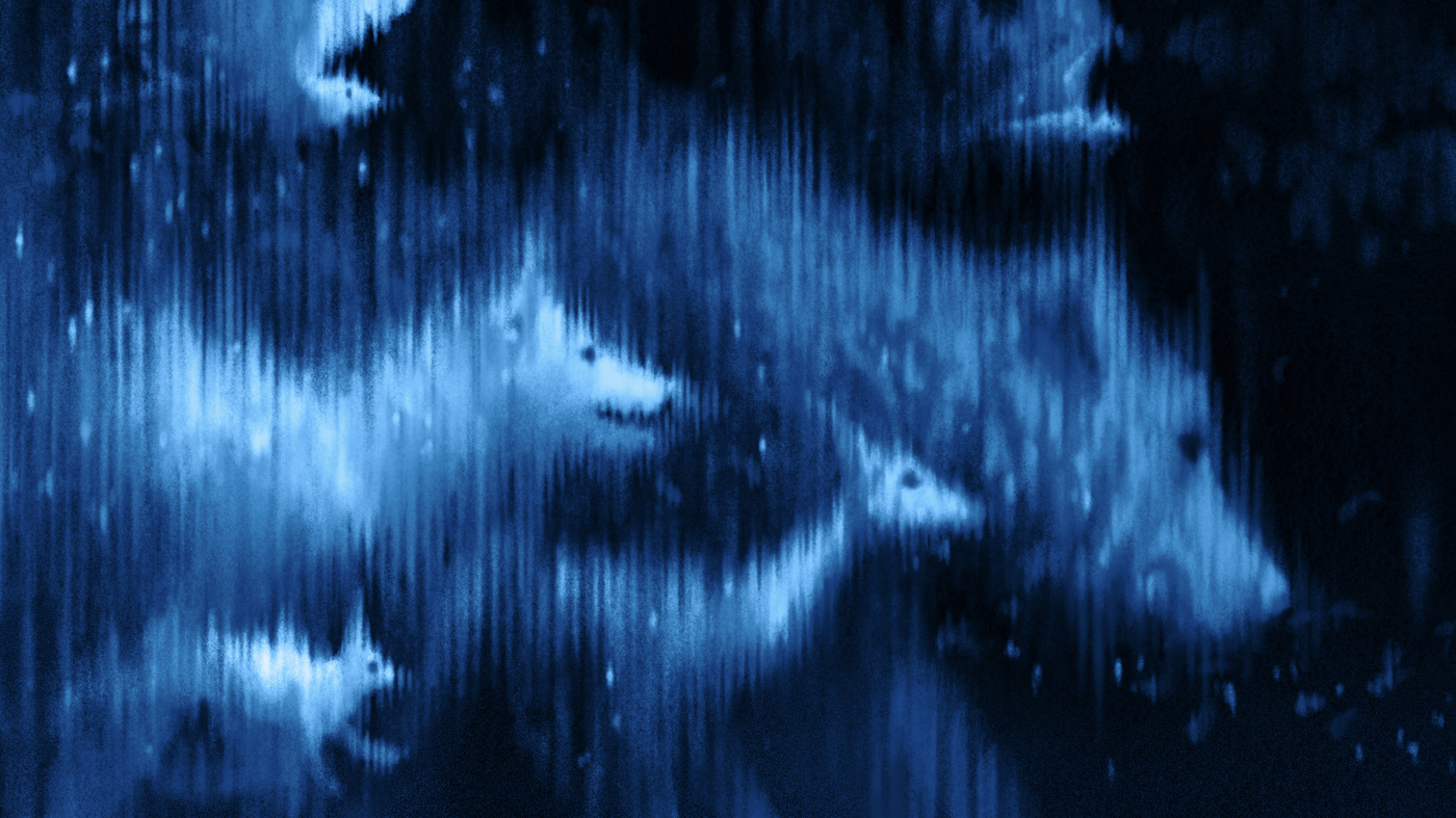 Bernie Krause and Soundscape Ecology : Invisibilia : NPR