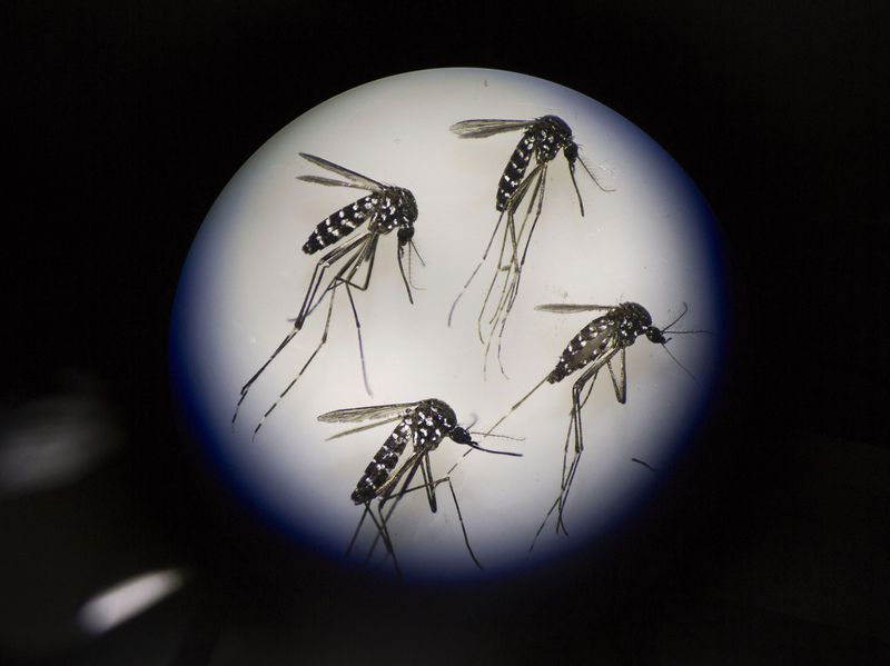 Buzzkill : Throughline : NPR