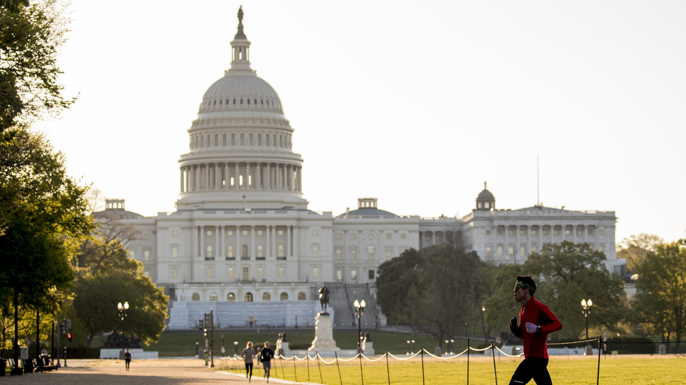 Coronavirus Scrambles 2020 Congressional Elections : NPR