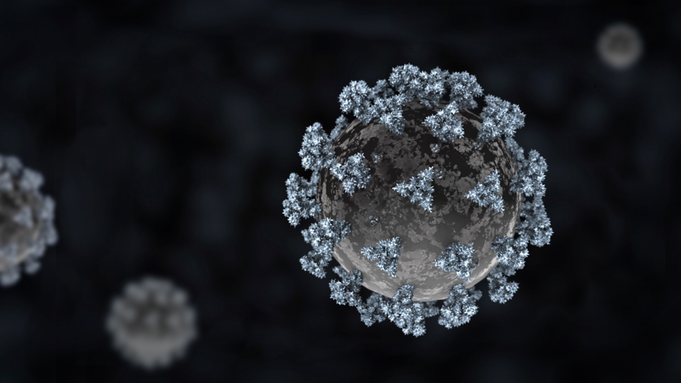 How The Coronavirus Hijacks Our Defenses : Shots - Health News : NPR