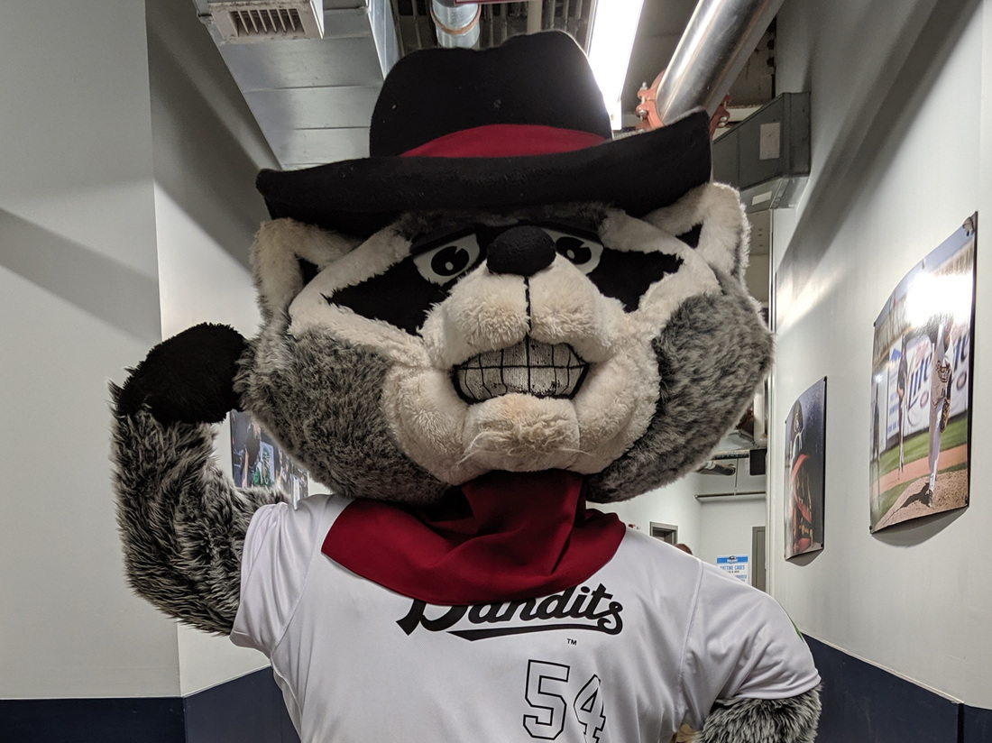 This Baseball Mascot Was Struck Out By The Coronavirus Pandemic : NPR