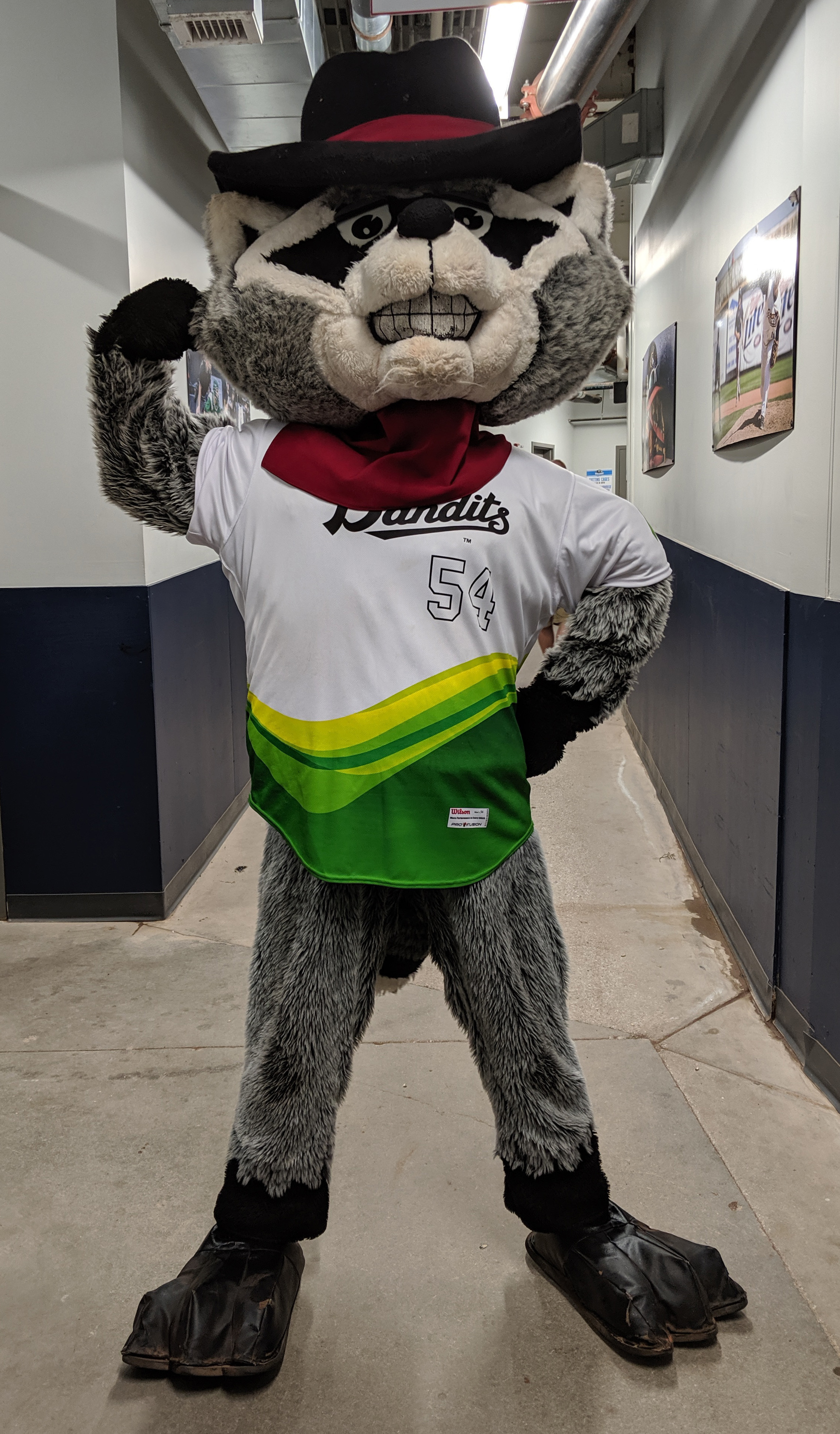 This Baseball Mascot Was Struck Out By The Coronavirus Pandemic | NCPR News