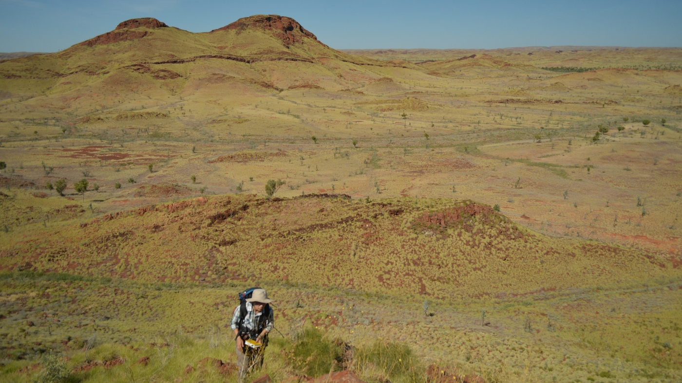 What Did Earth Look Like 3.2 Billion Years Ago? : Short Wave : NPR