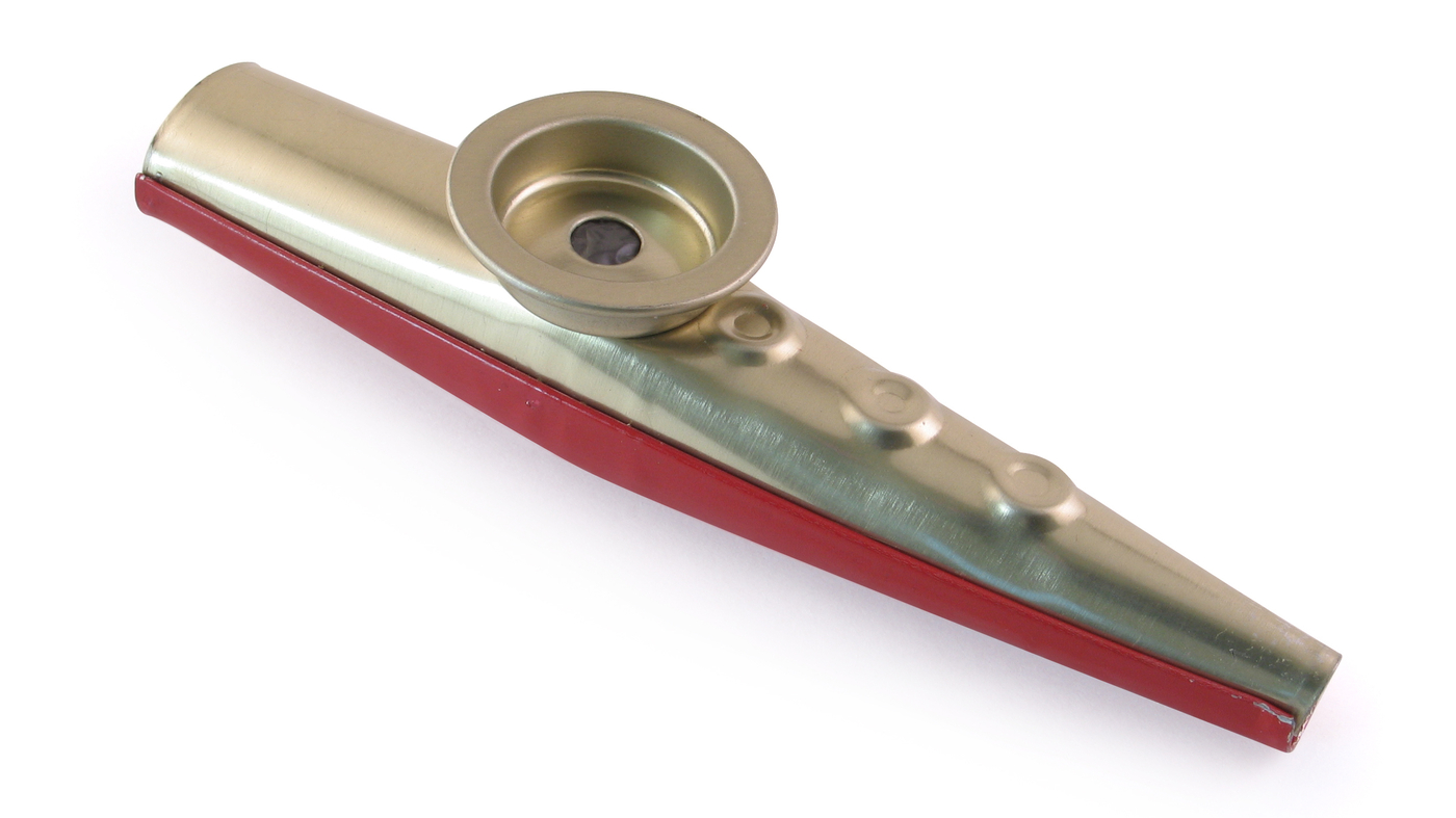 A Kazoo And The Evolution Of Speech : Short Wave : NPR