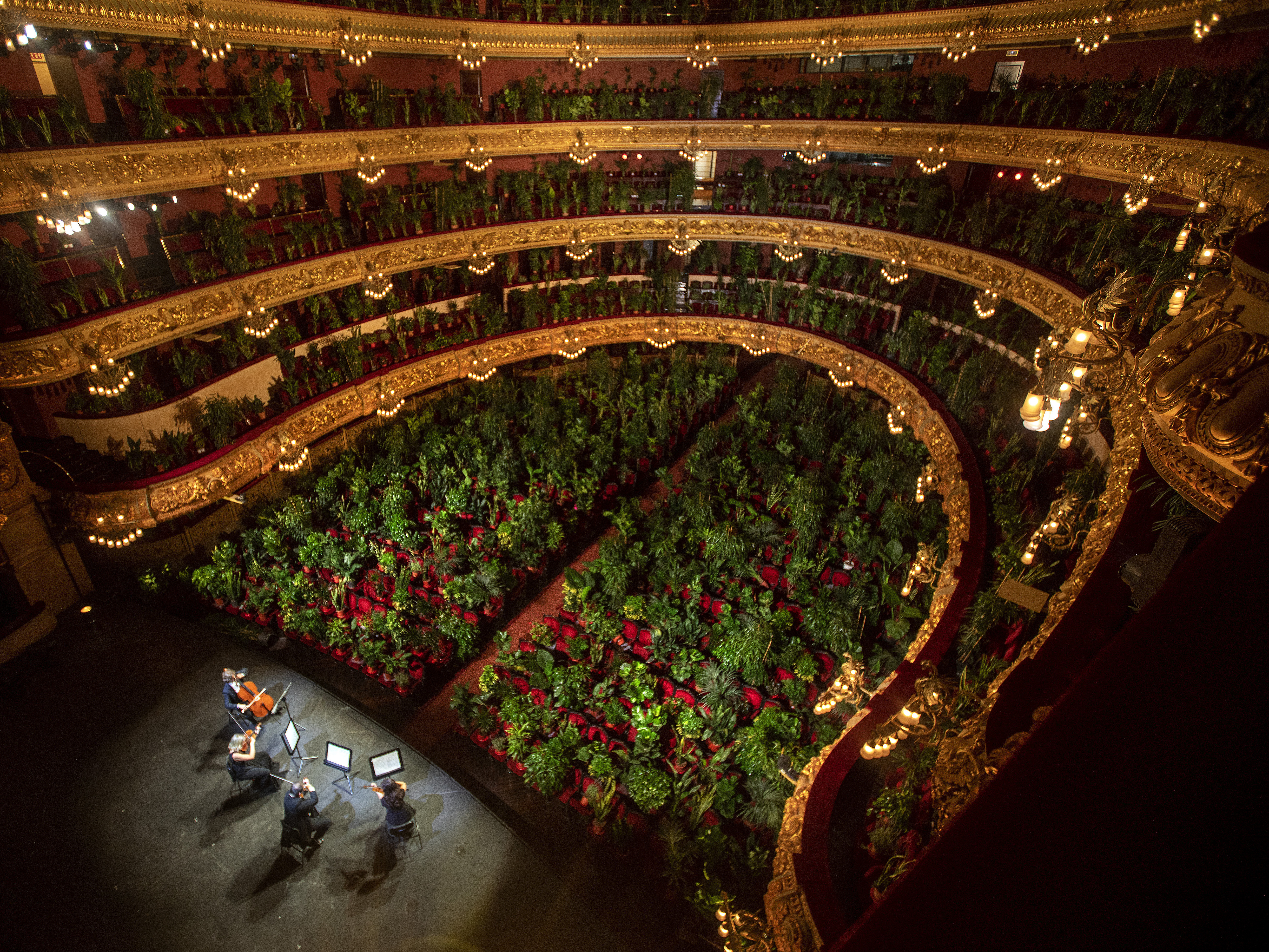 Barcelona Opera Reopens With An Audience Of Plants | NCPR News
