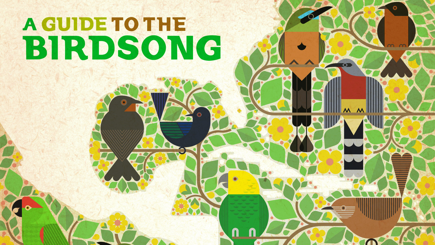 'A Guide To The Birdsong: Volume II' Uses Electronic Music To Save The ...