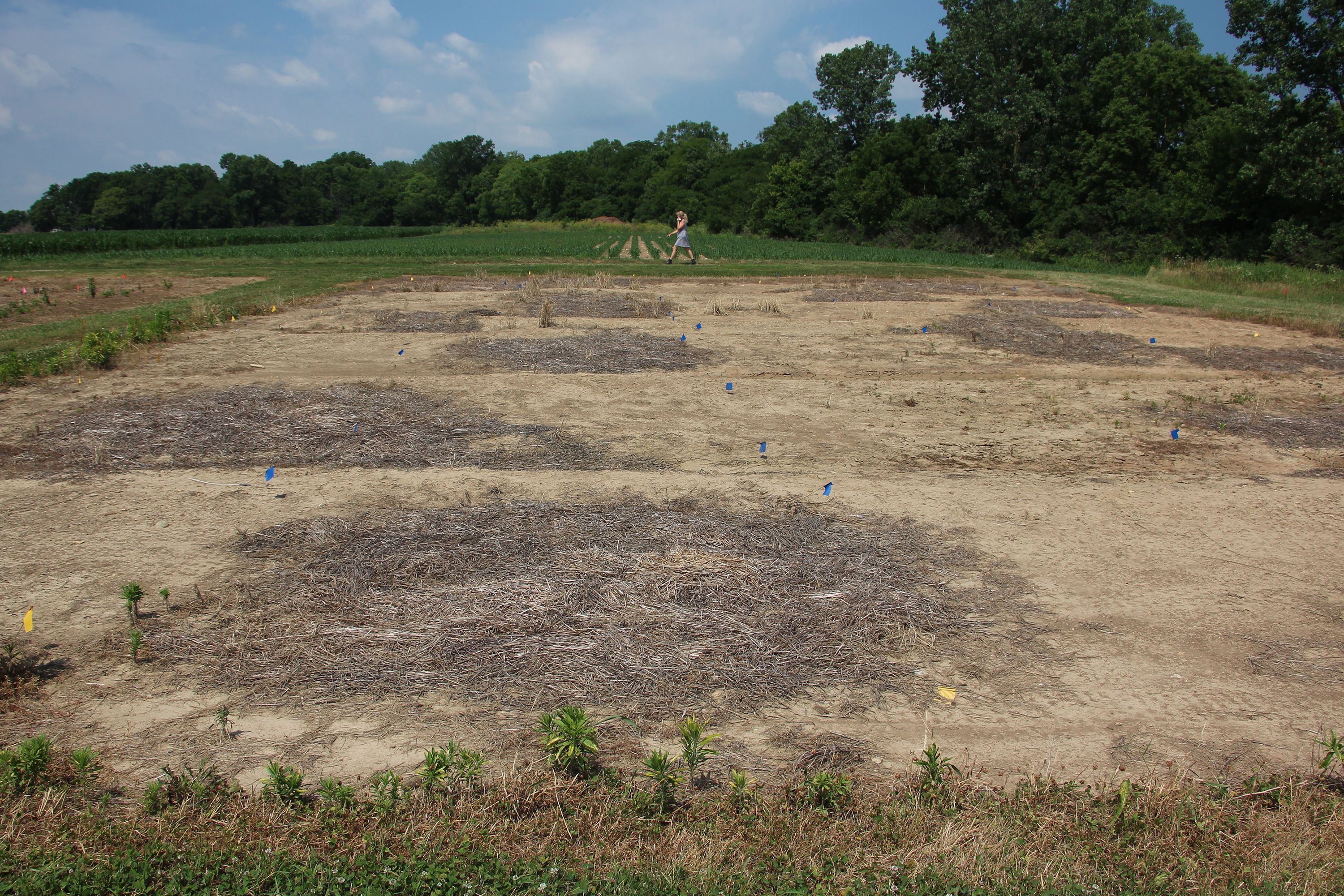A Prophet Of Soil Gets His Moment Of Fame | NCPR News