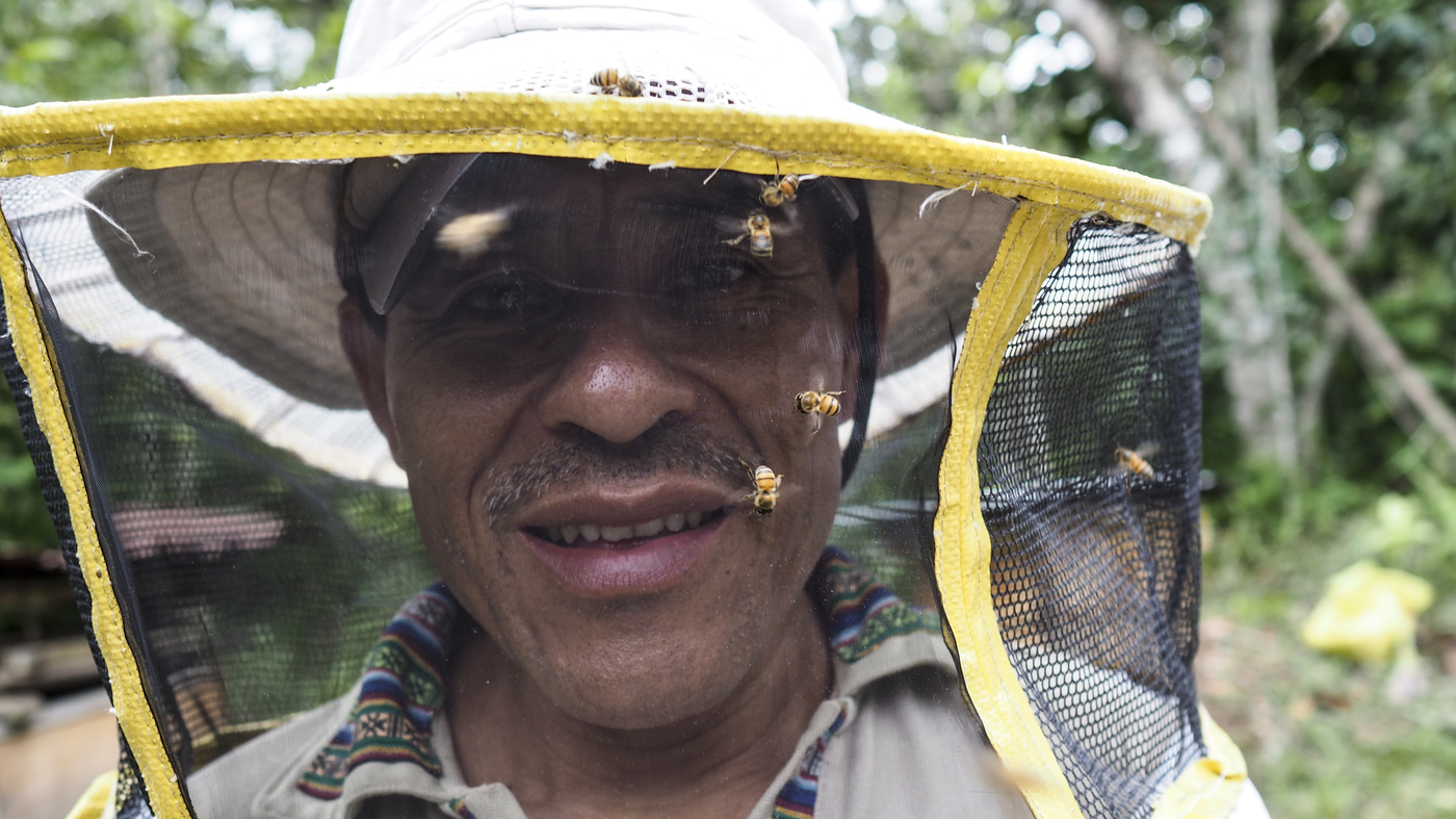 Nadia Whitehead's Instagram, Twitter & Facebook on IDCrawl