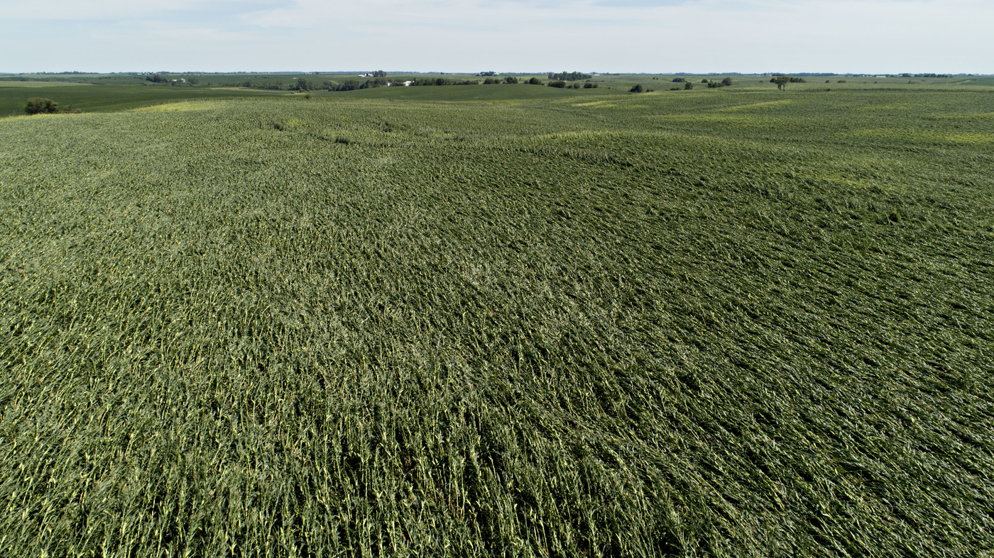 Midwest States Assess Damage After Derecho Strikes : NPR