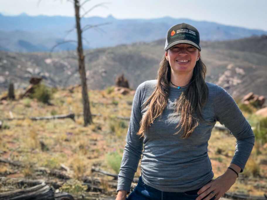 As Wildfires Grow More Intense, Iconic Western Forests May Not Come ...