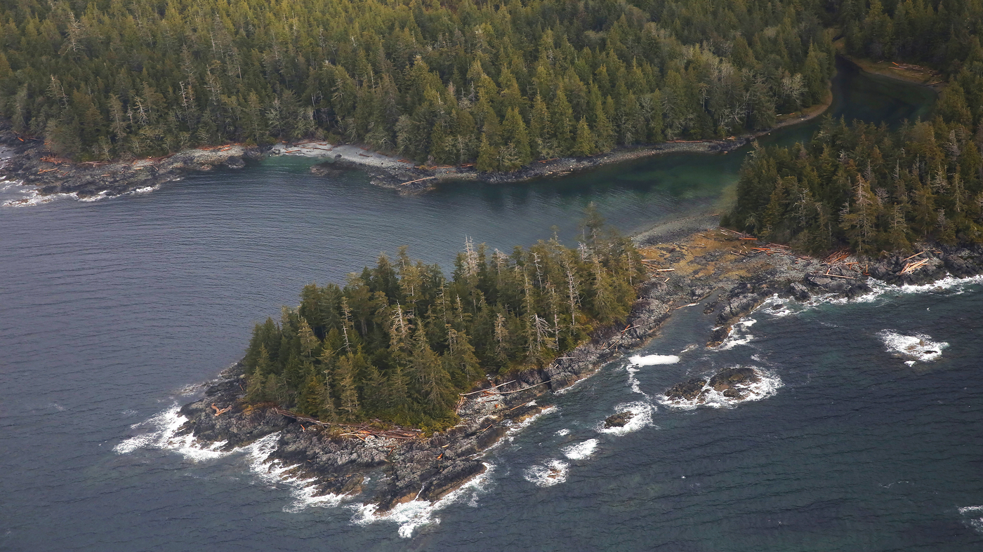 Trump Administration Moves To Expand Development In Alaska's Tongass ...