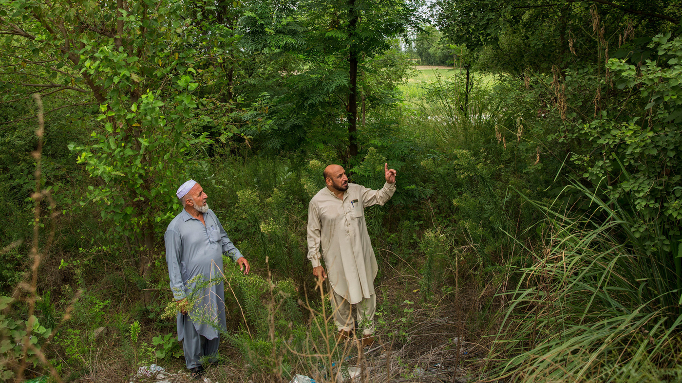 Pakistan tries ambitious climate action : NPR