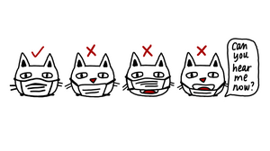 Coronavirus, Illustrated : NPR