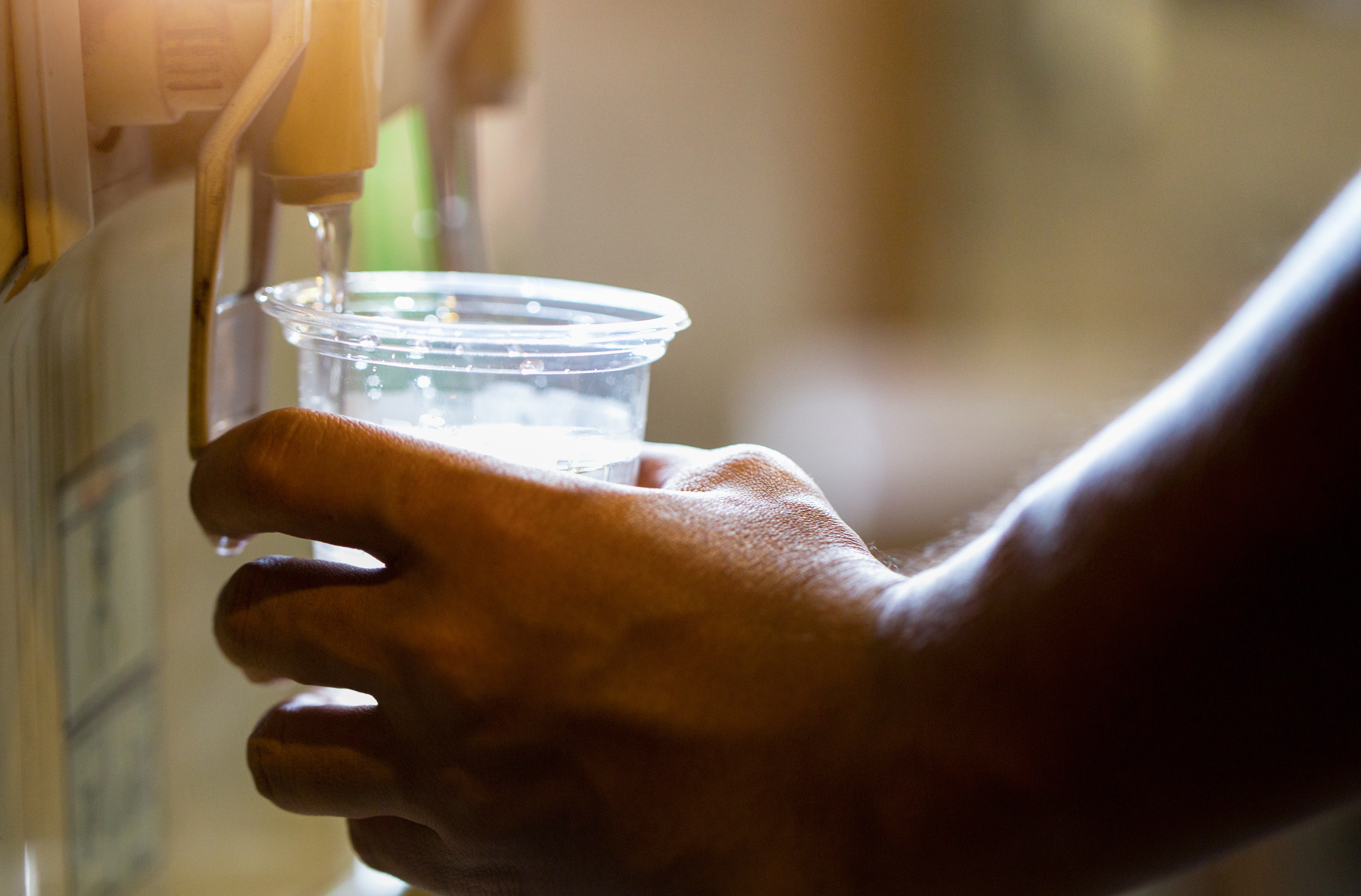 Water Or A Sports Drink? These Brain Cells May Decide Which One We ...