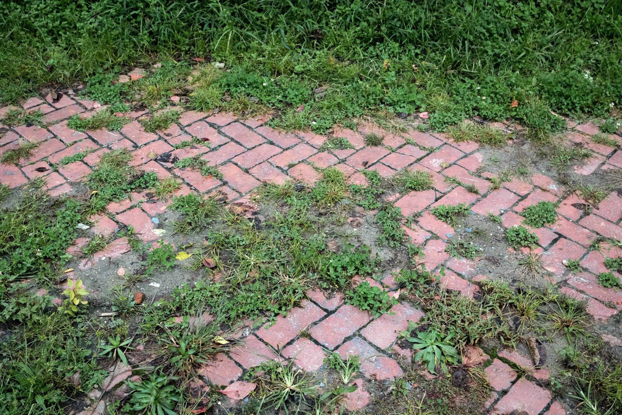 In U.S. Cities, The Health Effects Of Past Housing Discrimination Are ...