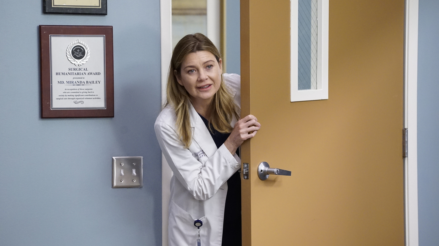 2020 Election Distractions: Studio Ghibli movies, Grey's Anatomy, and ...