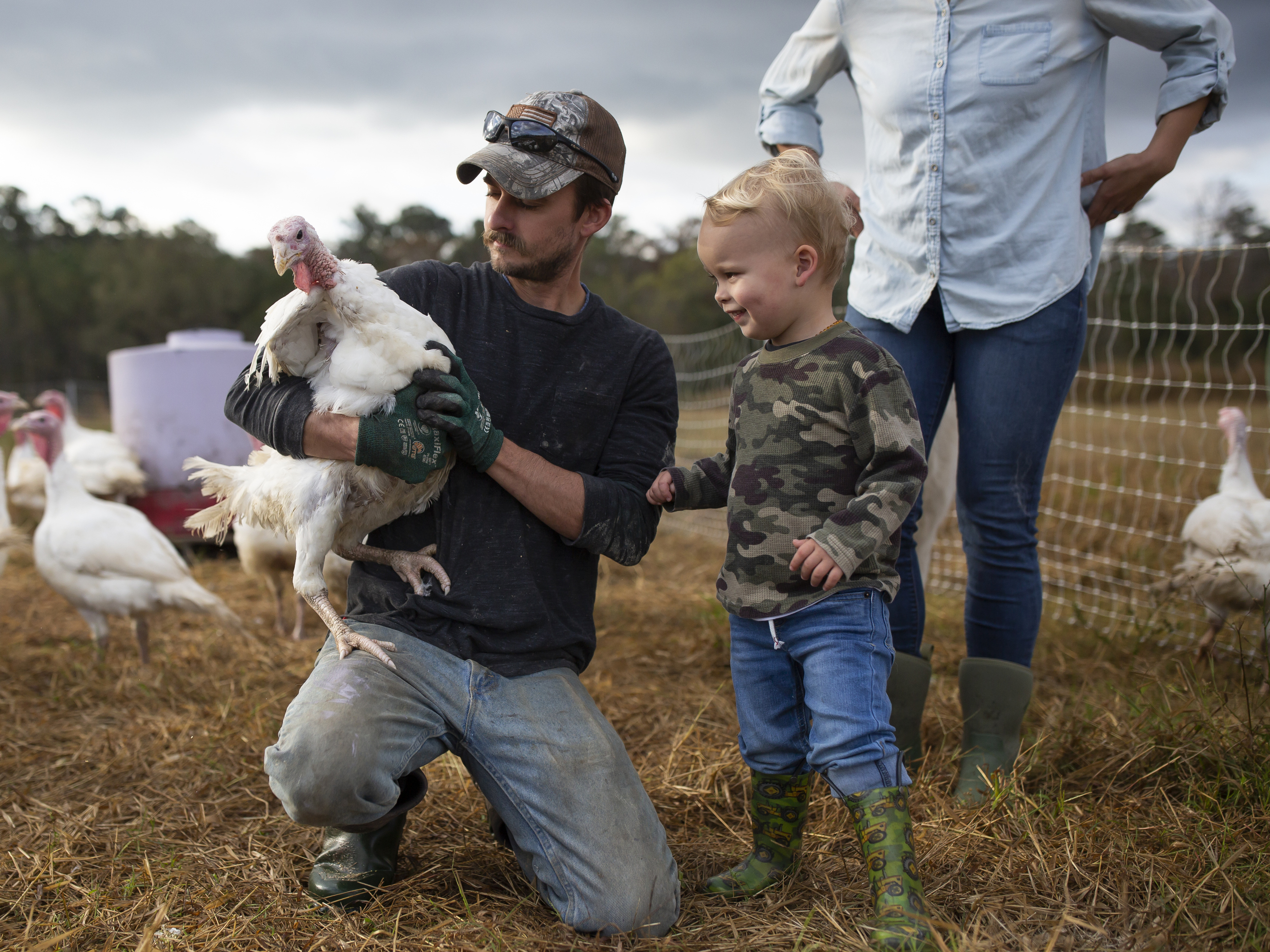 Small Turkeys Are In Demand As Americans Downsize At Thanksgiving ...