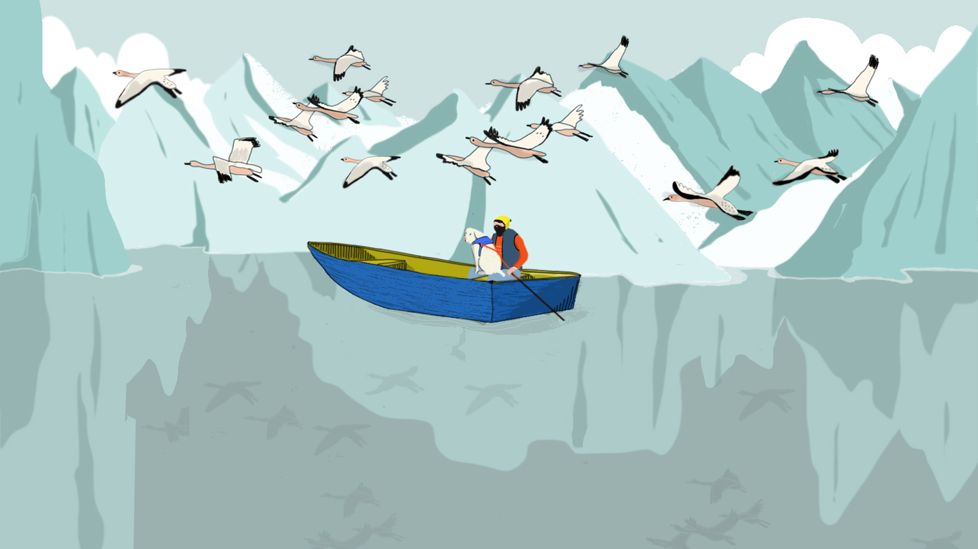 240 aves : Radio Ambulante : NPR