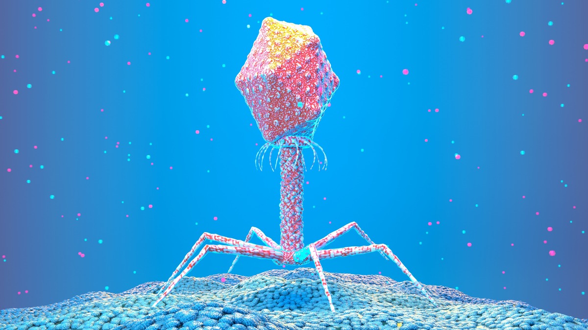 How A 100-Year-Old Treatment Could Help Save Us From Superbugs : Short ...
