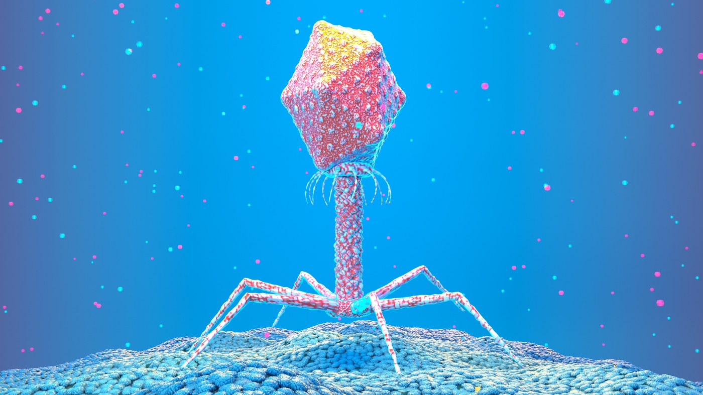 How A 100-Year-Old Treatment Could Help Save Us From Superbugs : Short ...