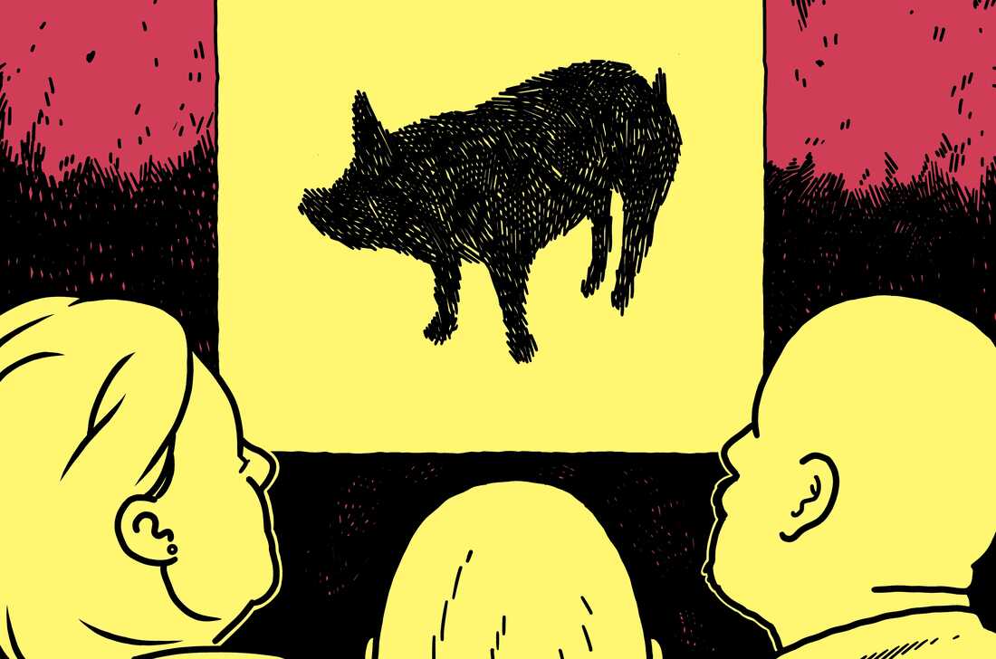 Chanchocracia : Radio Ambulante : NPR