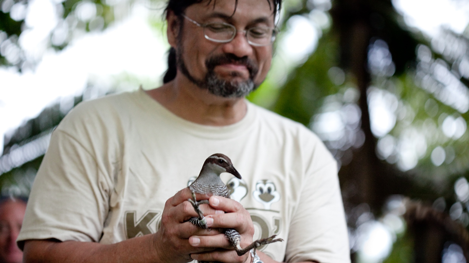 Meet The Ko'Ko', The Comeback Bird : Short Wave : NPR