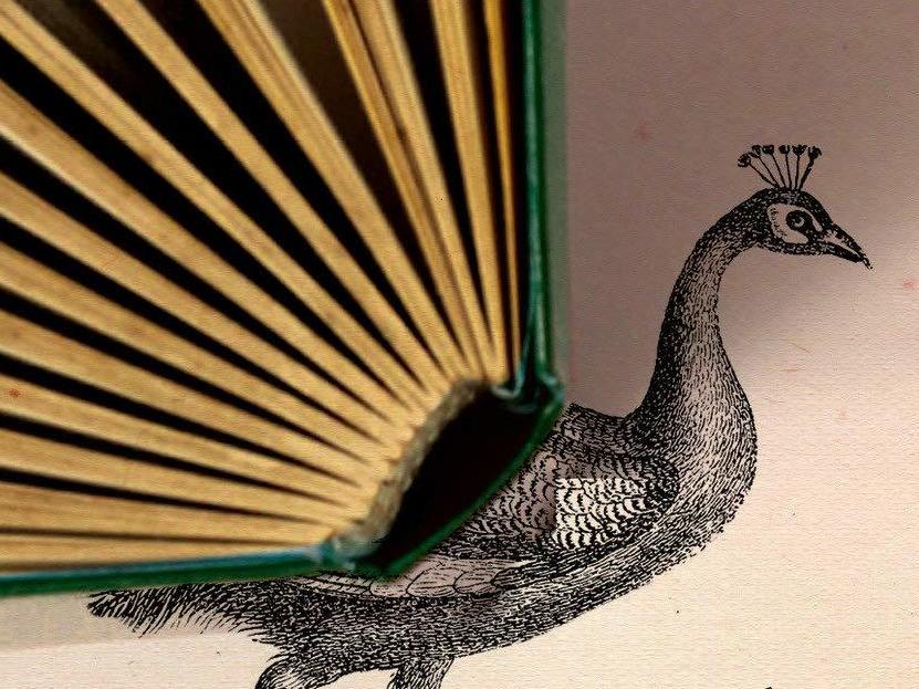 'The Liar's Dictionary' Is A Delight From A To Z - capradio.org