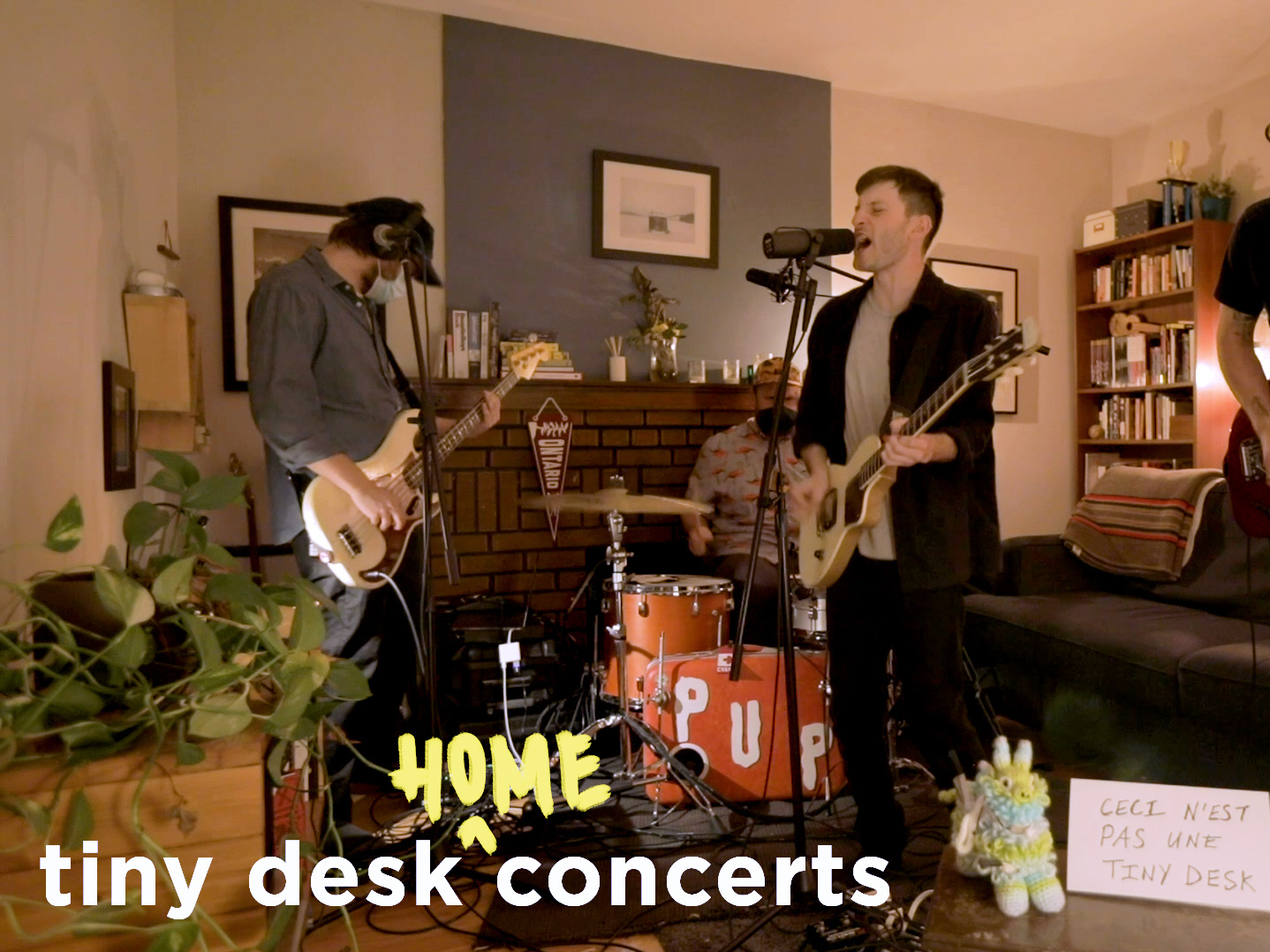 Pup Tiny Desk Home Concert Wbur