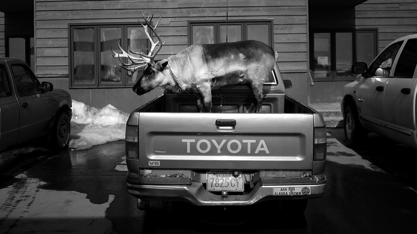 Book Showcases The Humanity At The Heart Of David Gilkey's ...