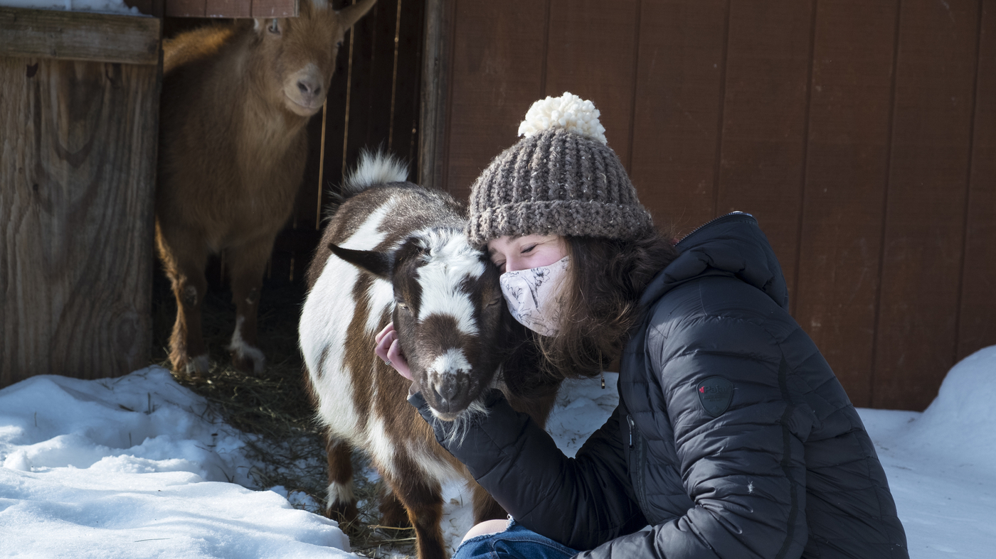 I Got A Vaccine Shot And Had No Symptoms. Does That Mean It Didn't Work? : Goats and Soda : NPR