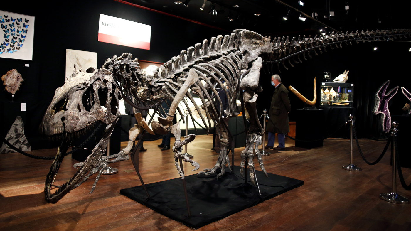 What Really Killed The Dinosaurs? Harvard Researchers Propose New Theory : NPR