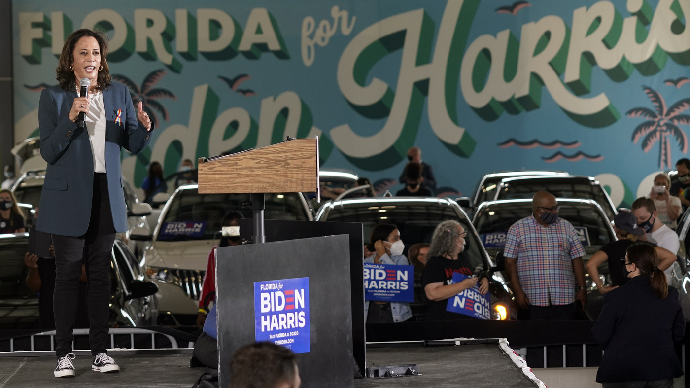 State Democratic Parties Struggle After 2020 Election : NPR