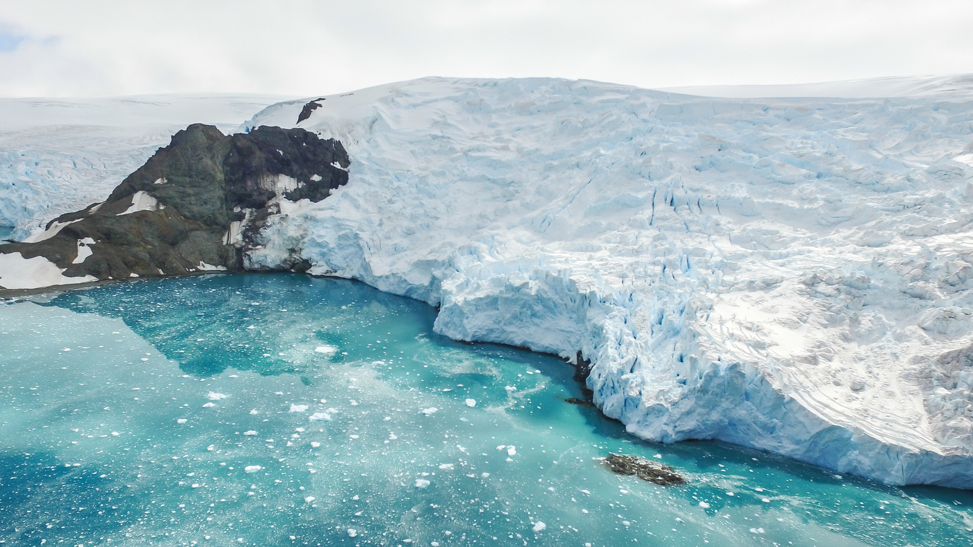 What We Can Learn From Microscopic Life In Antarctica : Short Wave : NPR