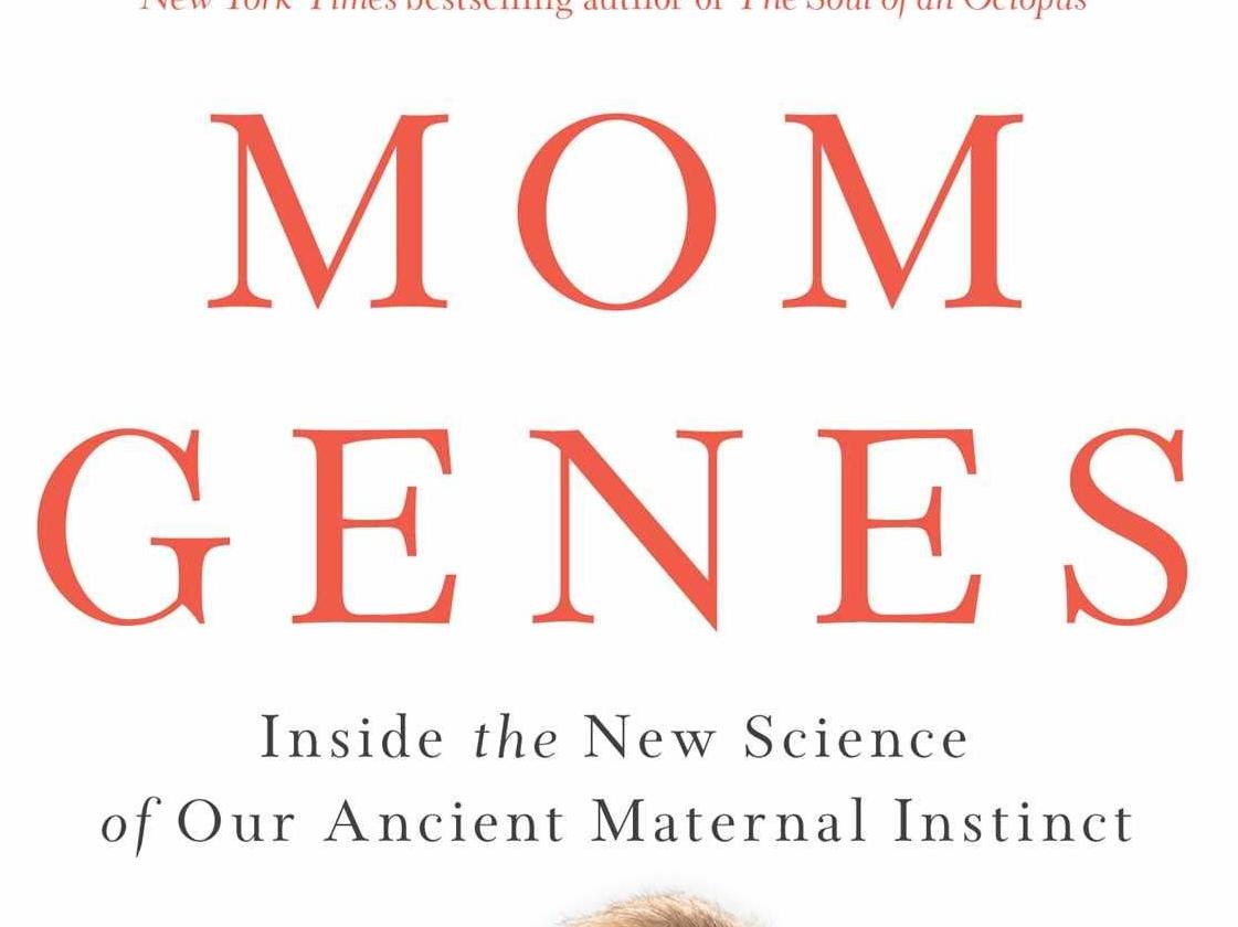 'Mom Genes' Aims To Examine Biological Transformations Of Motherhood ...