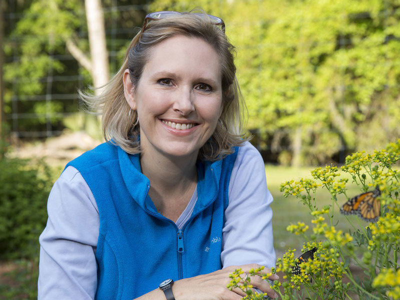 Sonia Altizer: What Can We Learn From The Migration Of Monarch ...