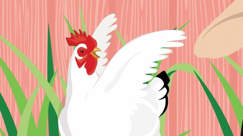 Review: 'Sunny Song Will Never Be Famous' : NPR