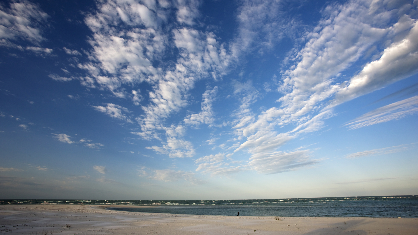 Blue Skies In China And US Produce Different Responses : The Indicator ...