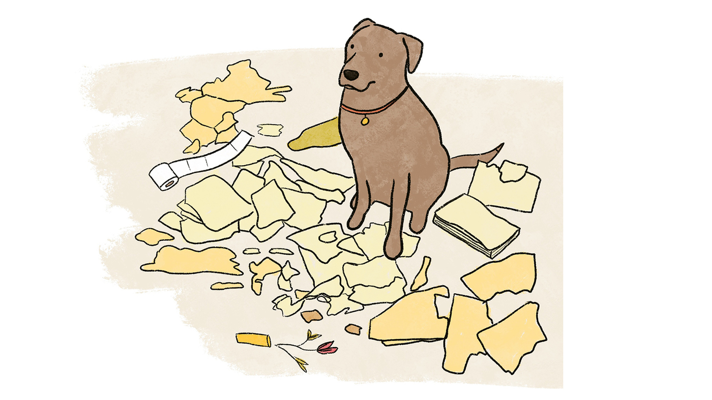 COMIC: Pet Adoption Climbed In COVID Times. Here's What Dogs Need Now ...