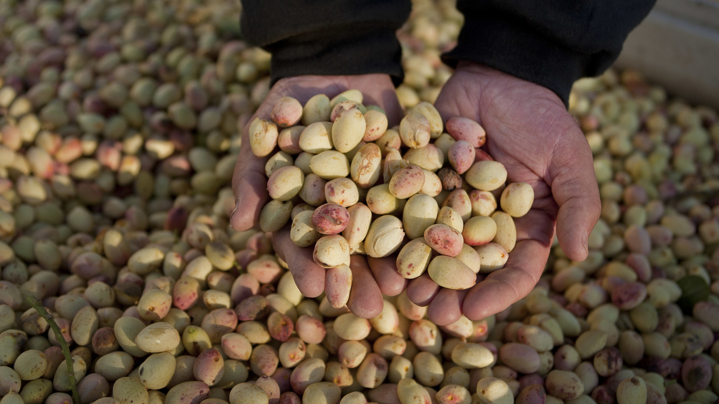 Yes, There's a Black Market For Nuts : NPR