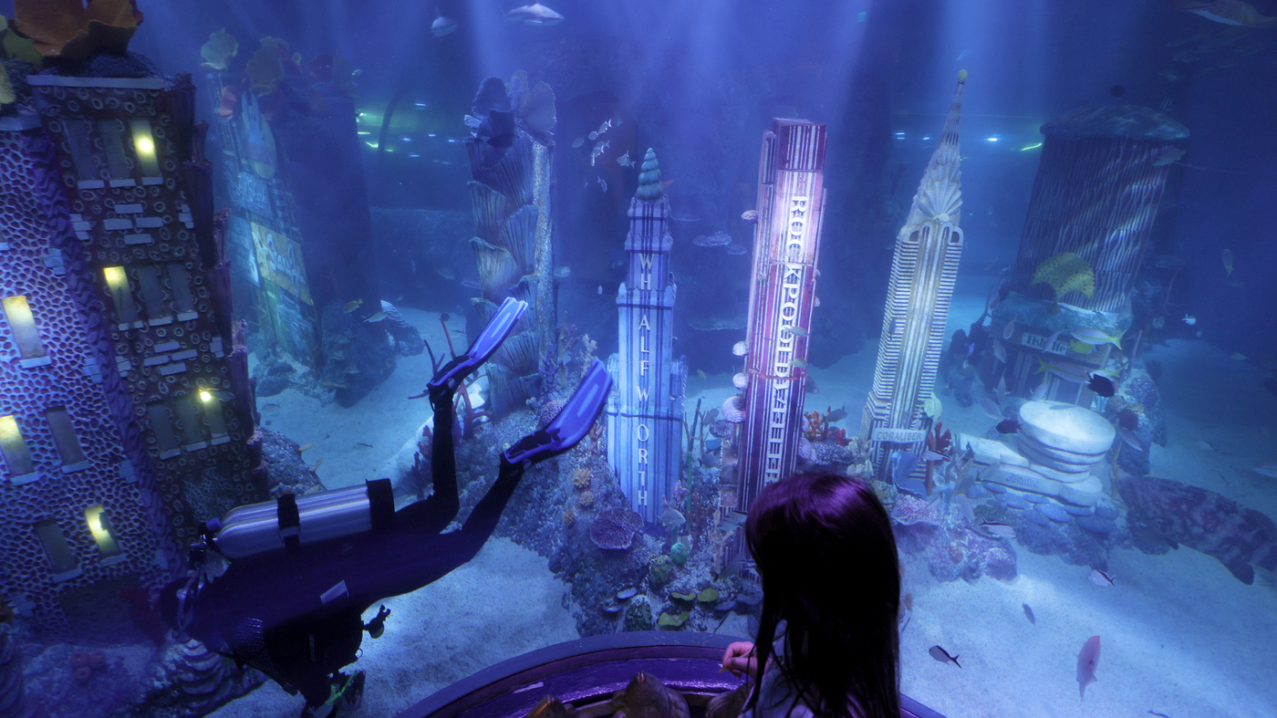 How Capitalism Dominated America — And Why It Wasn't Inevitable : NPR