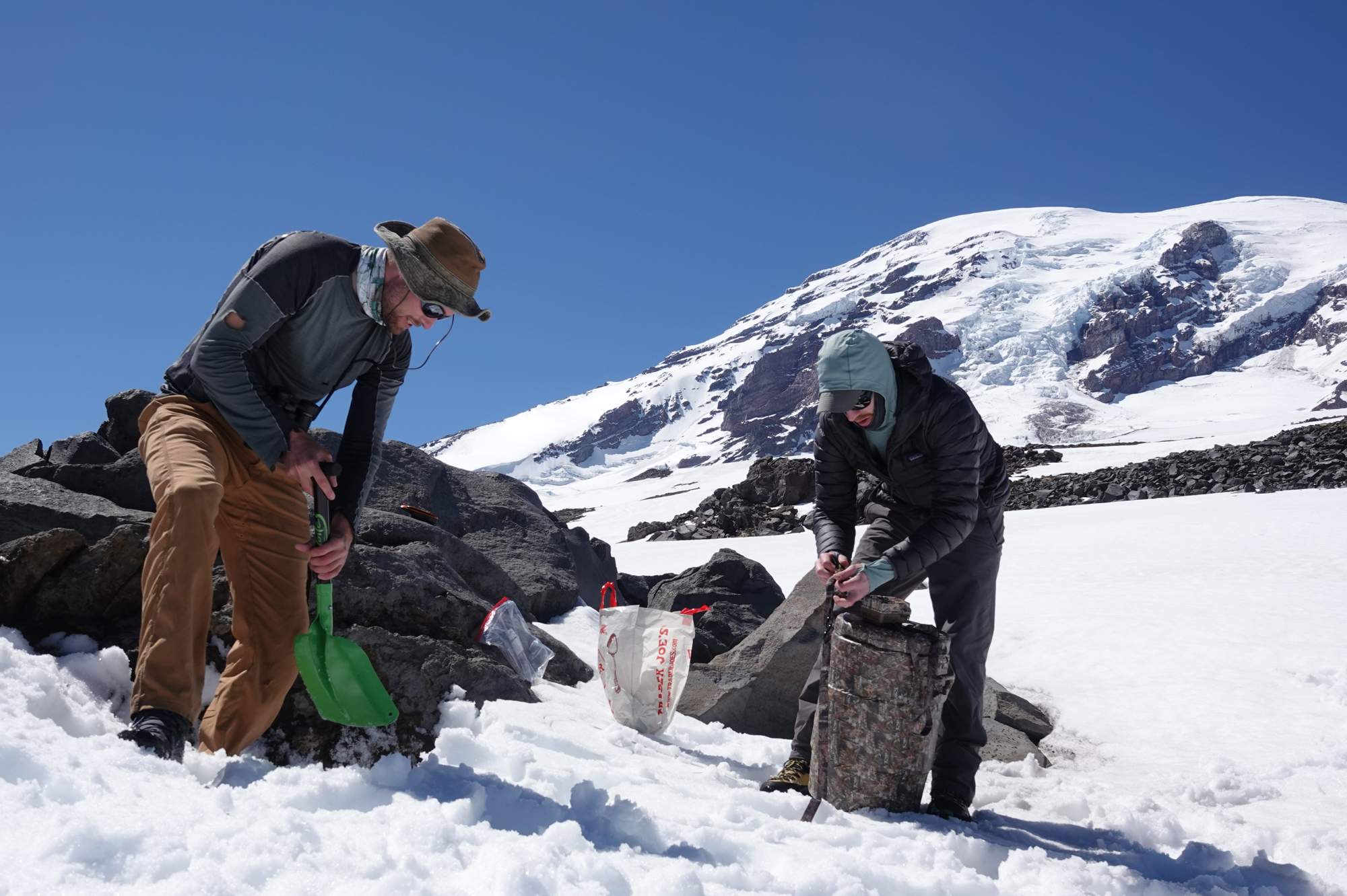It's Summer, And That Means The Mysterious Return Of Glacier Ice Worms ...